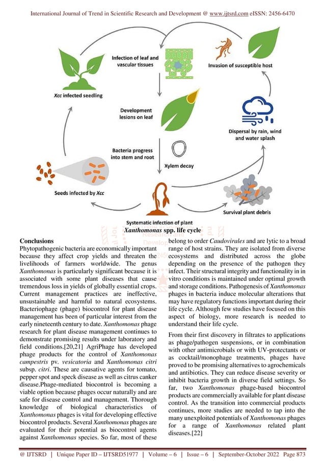 Various Plant Diseases Caused by Xanthomonas Species | PDF