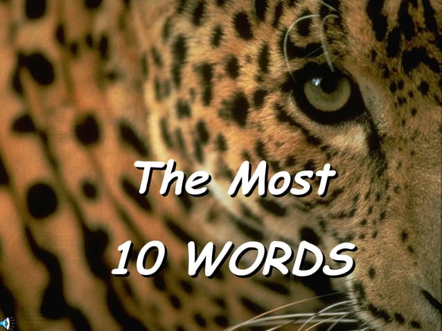 10 Golden Words For Improvements In Life | PPS