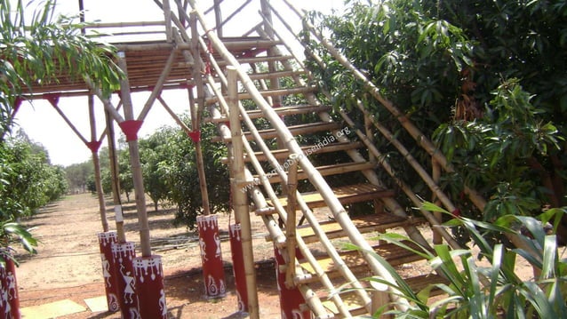 Bamboo Structure on Elevated Platform | PPTX