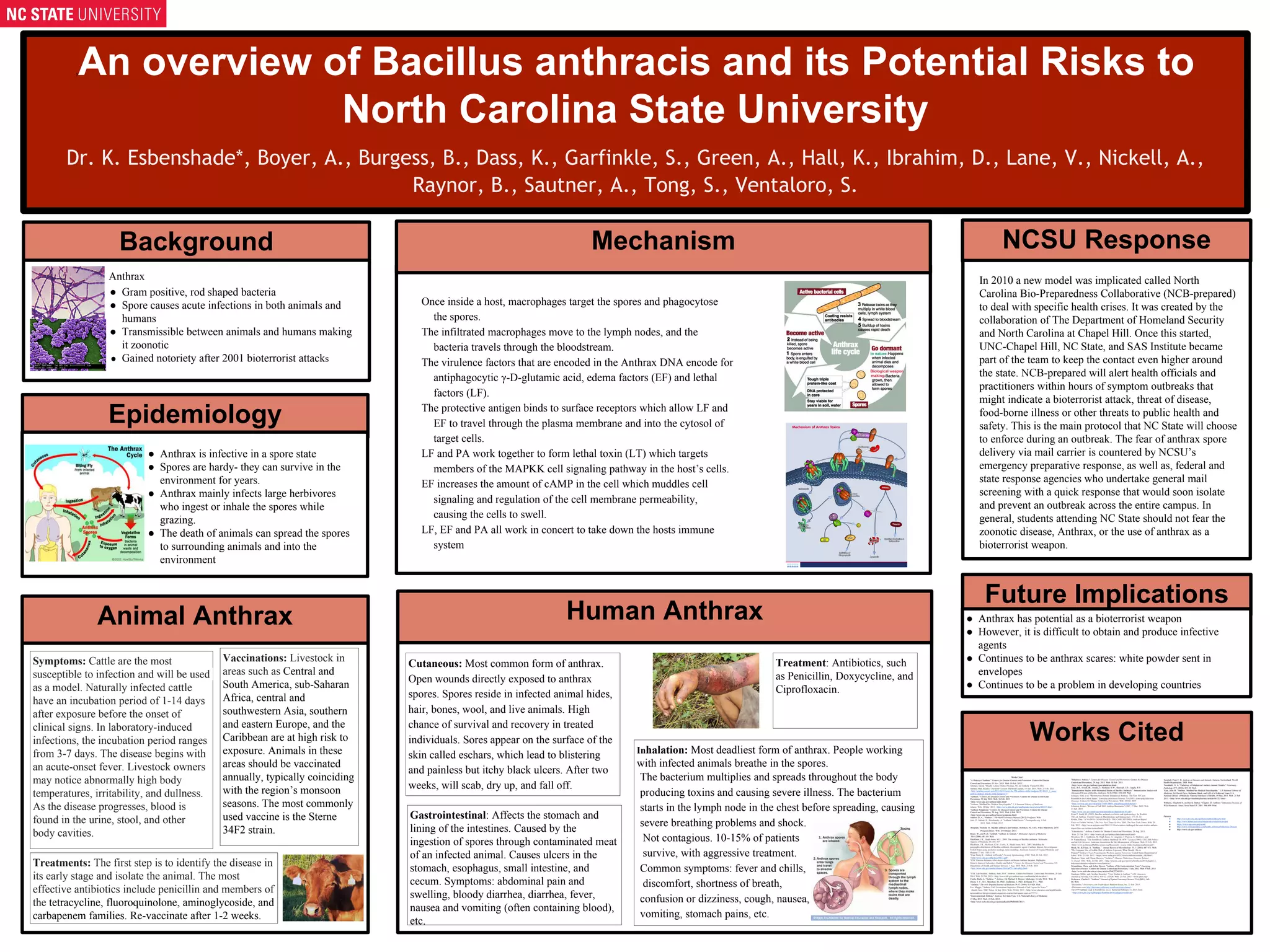 An overview of Bacillus anthracis and its Potential Risks to North ...
