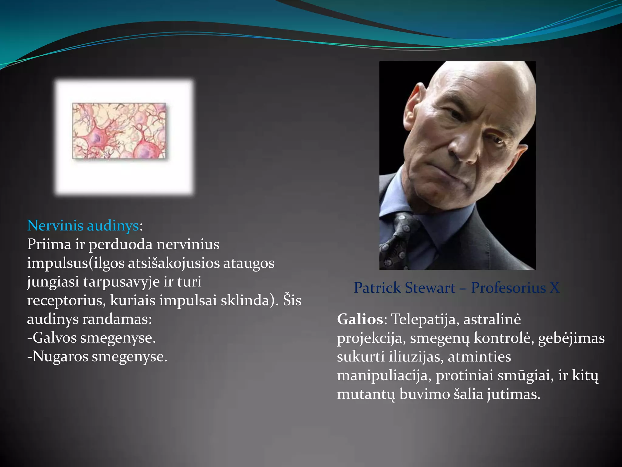 10akl. biologijos darbas | PPTX