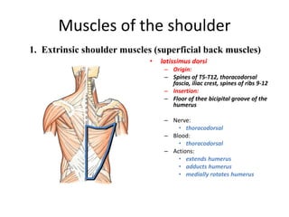 10 Anatomy of Shoulder region.pptx222222 | PPTX