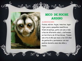 10 animales en via de extincion | PPTX