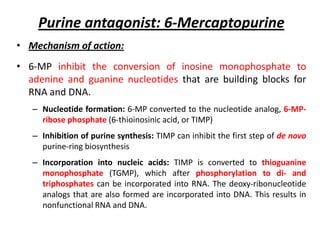 Anticancer drugs 3 antimetabolites | PPTX