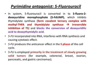 Anticancer drugs 3 antimetabolites | PPTX