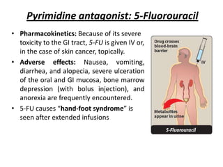 Anticancer drugs 3 antimetabolites | PPTX