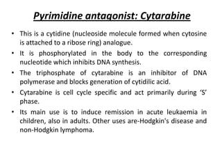 Anticancer drugs 3 antimetabolites | PPTX