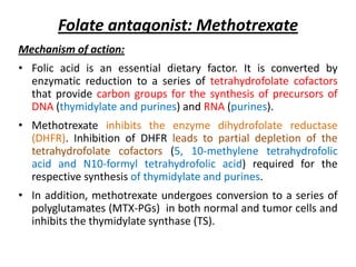 Anticancer drugs 3 antimetabolites | PPTX