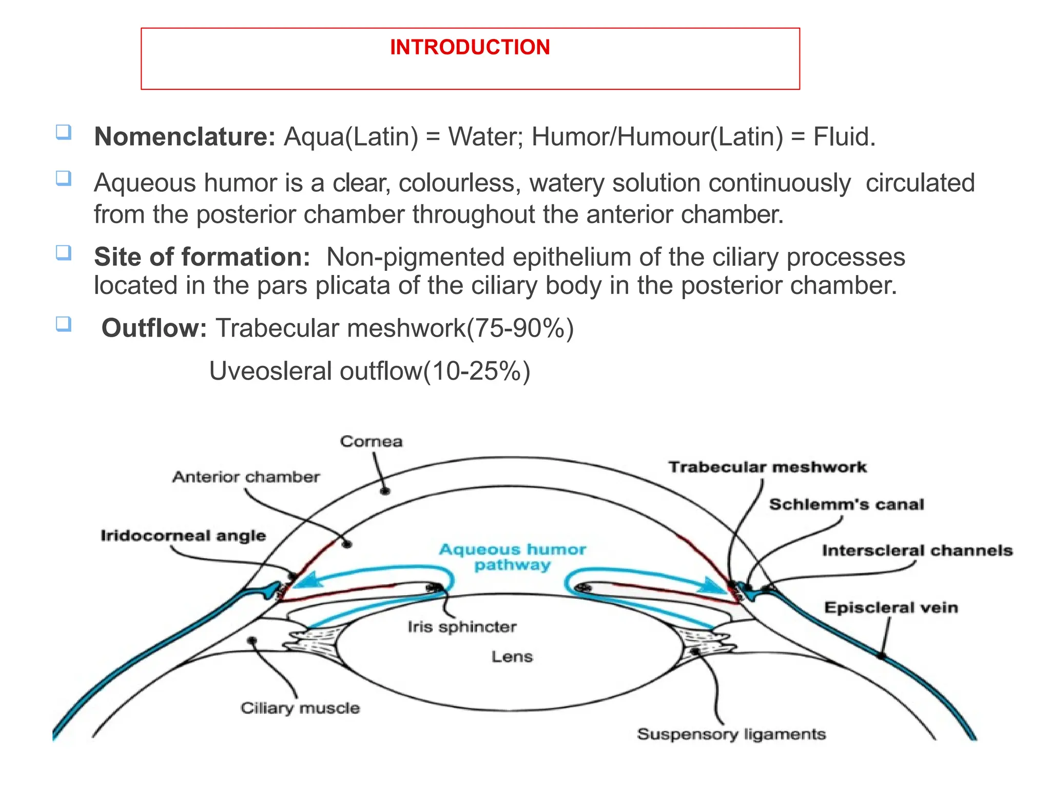 Ophthalmology presentation in aqueous humor dynamics.pptx