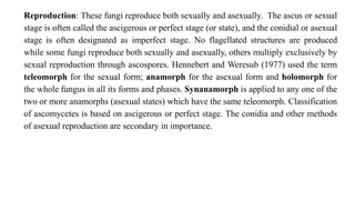 10 Ascus development.pptx