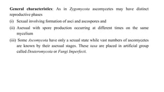 10 Ascus development.pptx