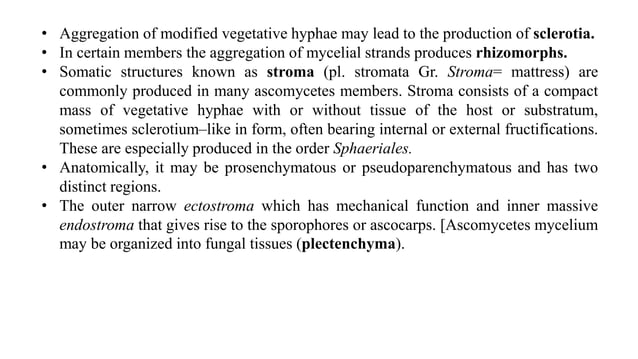 10 Ascus development.pptx