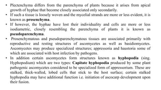 10 Ascus development.pptx