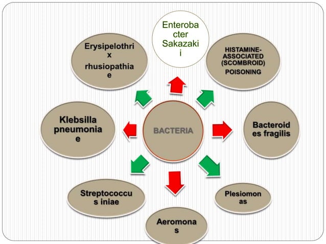 virus in food and acts as foodborne pathogen | PPT
