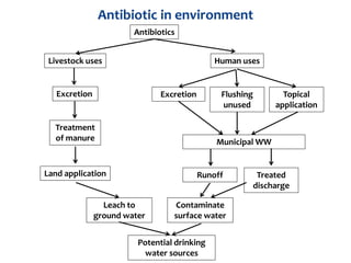 Antibiotic Resistance Flow Chart