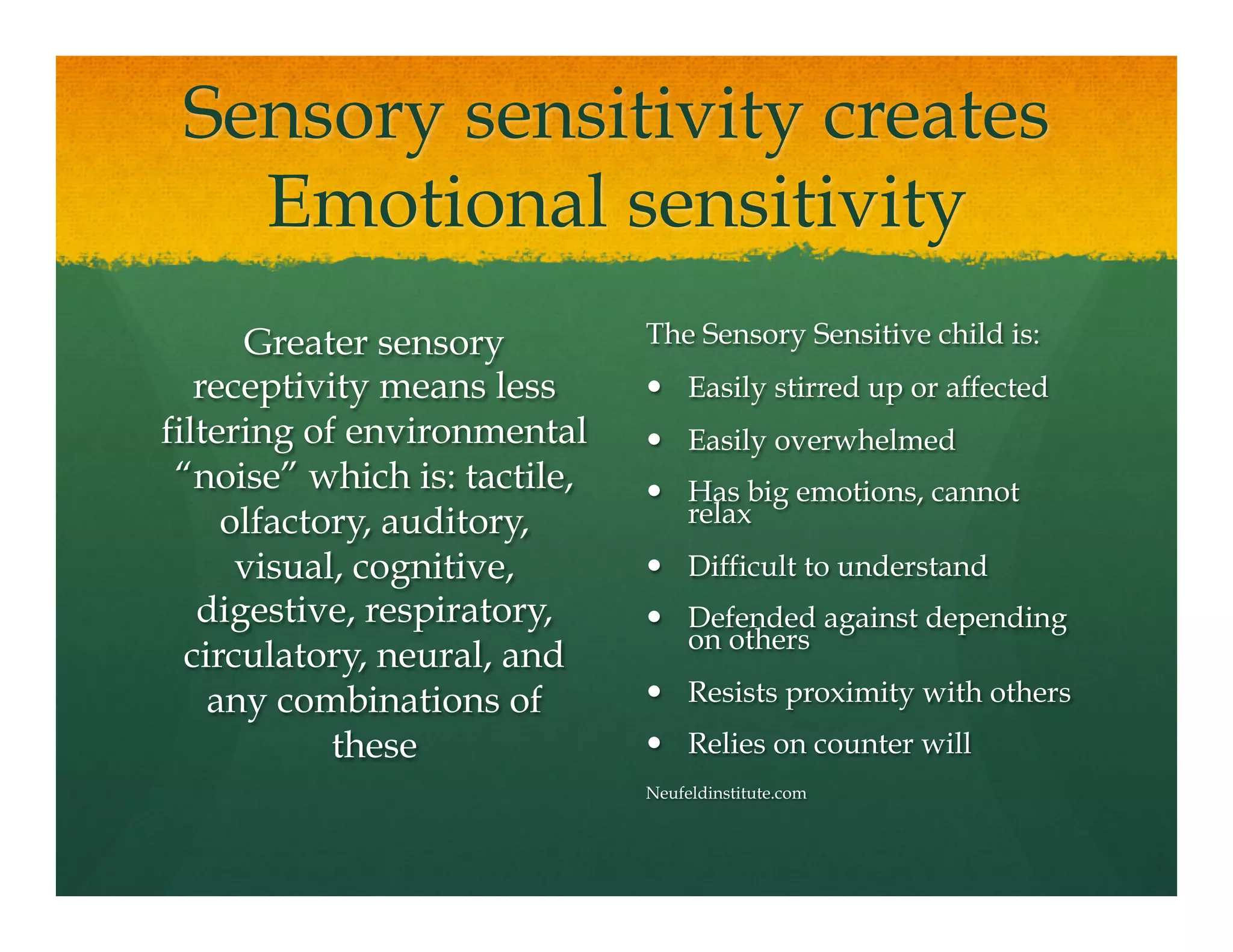 Sensory Sensitive Child.pptx