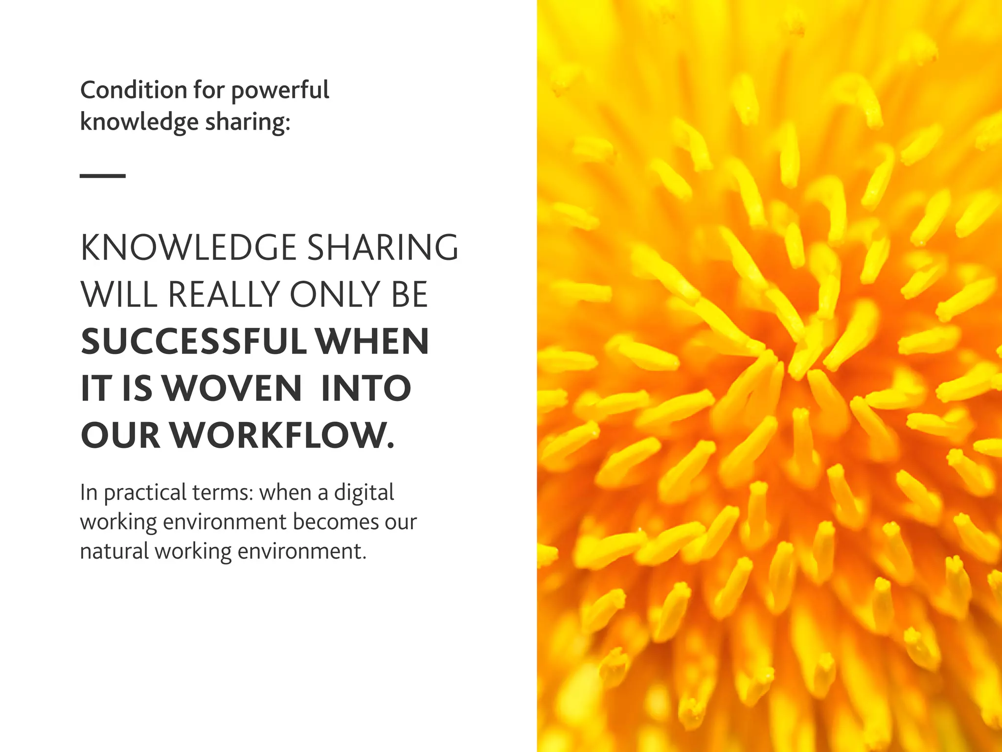 10 barriers to knowledge sharing | PDF