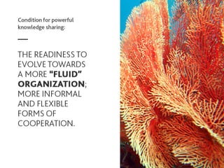 10 barriers to knowledge sharing | PDF