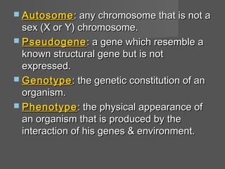 10 basics of human genetics | PPT