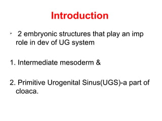 10b dev uri system | PPT