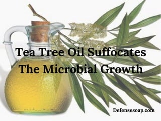 10 Benefits And Uses Of Tea Tree Oil For Skin | PPT | Skin and ...