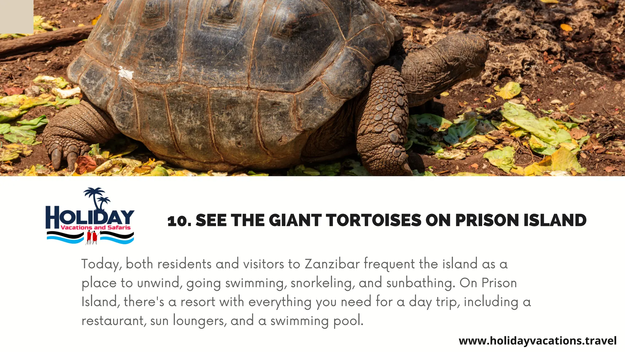 10 Best Things to Do in Zanzibar the Top Zanzibar Island Activities ...