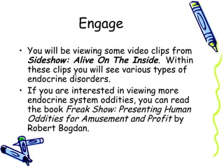 Endocrine system | PPT