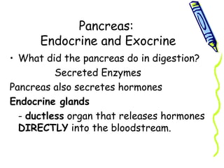 Endocrine system | PPT
