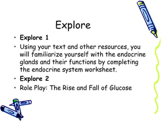 Endocrine system | PPT