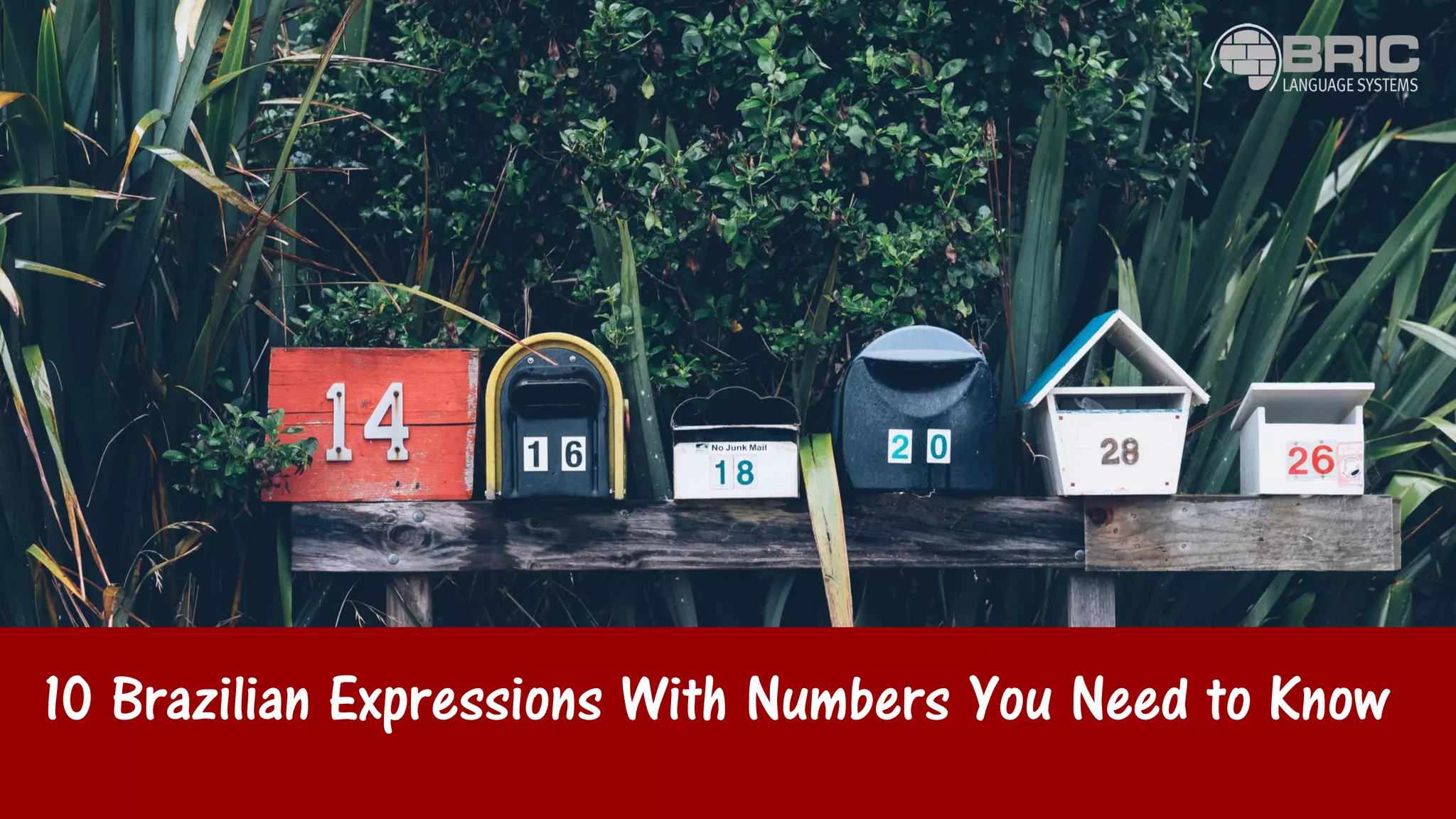 10 Brazilian Expressions With Numbers You Need to Know | PPT