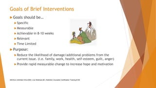 10 Brief Interventions for Counselors by Dr. Dawn-Elise Snipes | PPTX