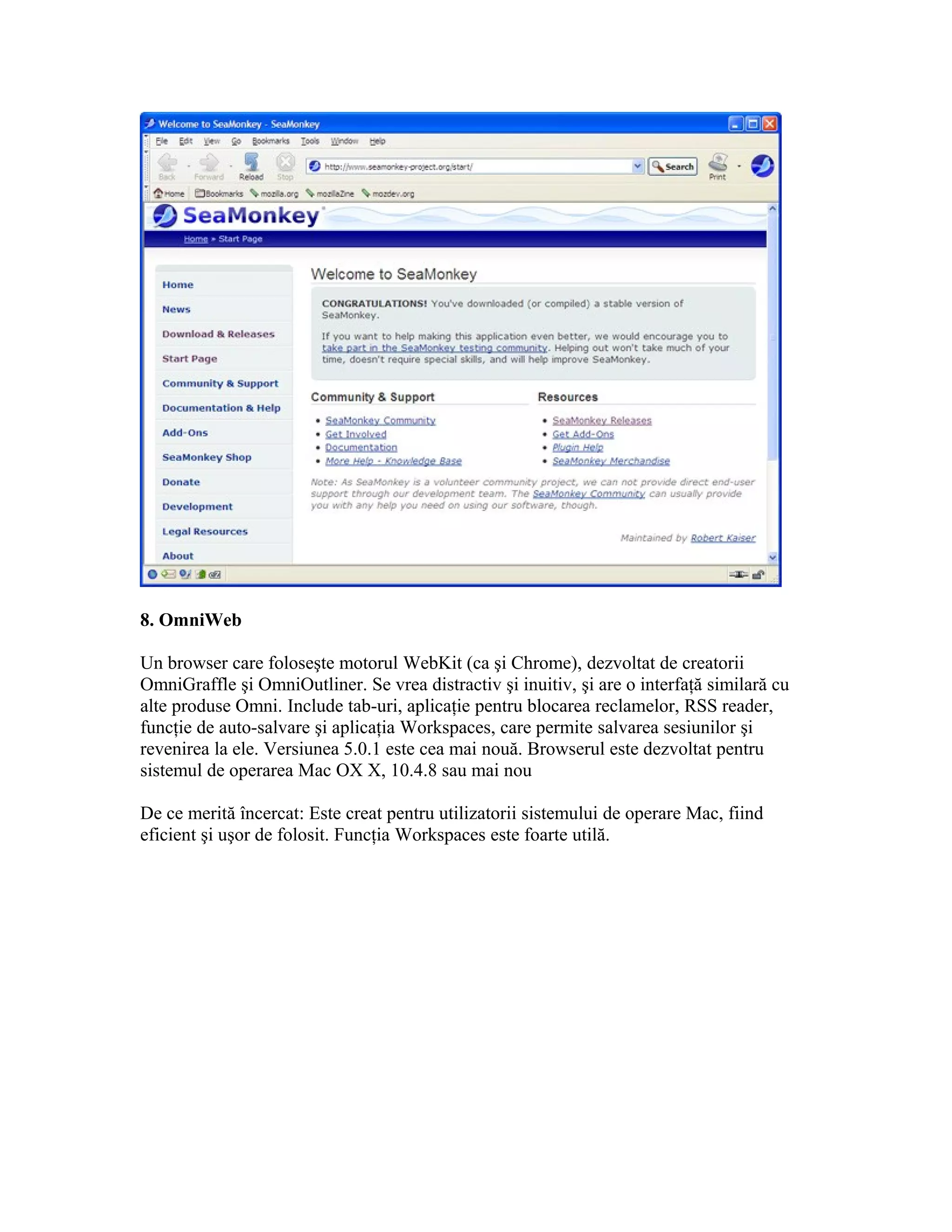 10 browsere de internet necunoscute | DOC