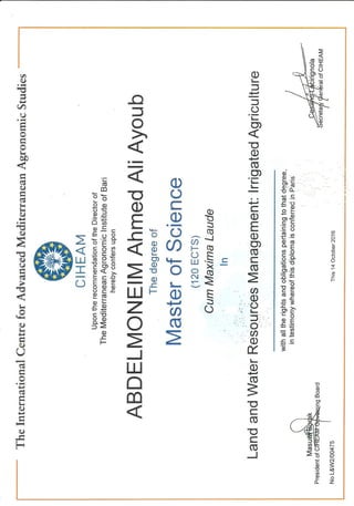 Master certificate | PDF