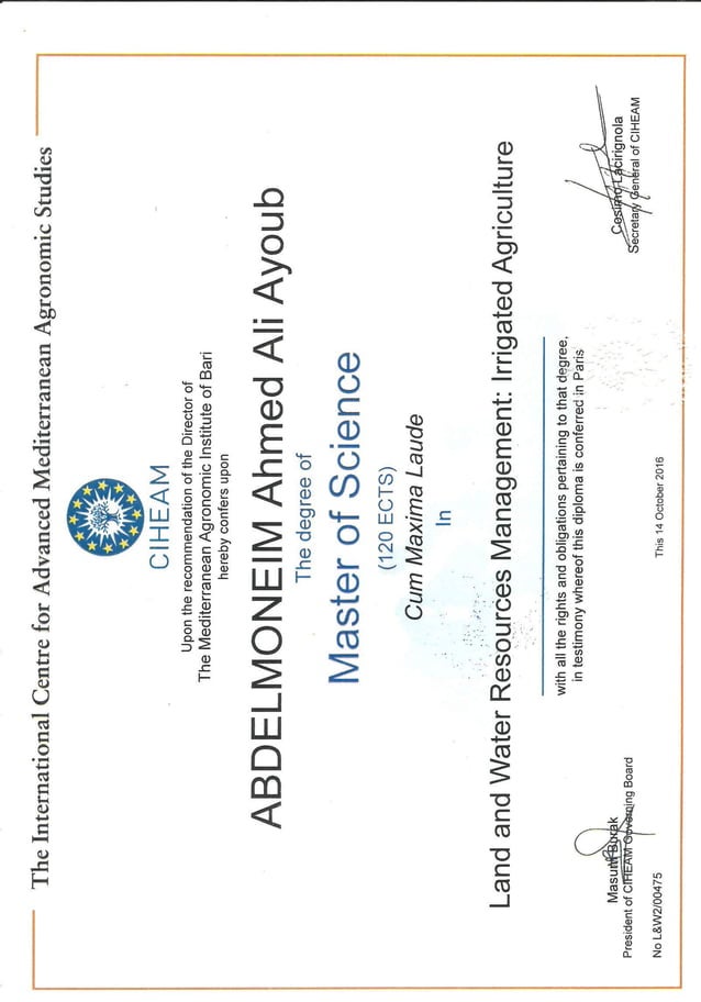 Master certificate | PDF