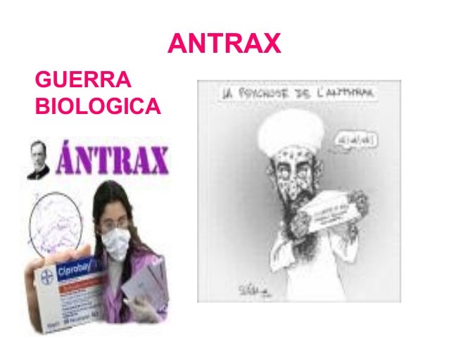 carbunco o antrax