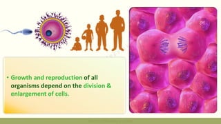 Cell cycle n cell division - Picture slides - .pptx