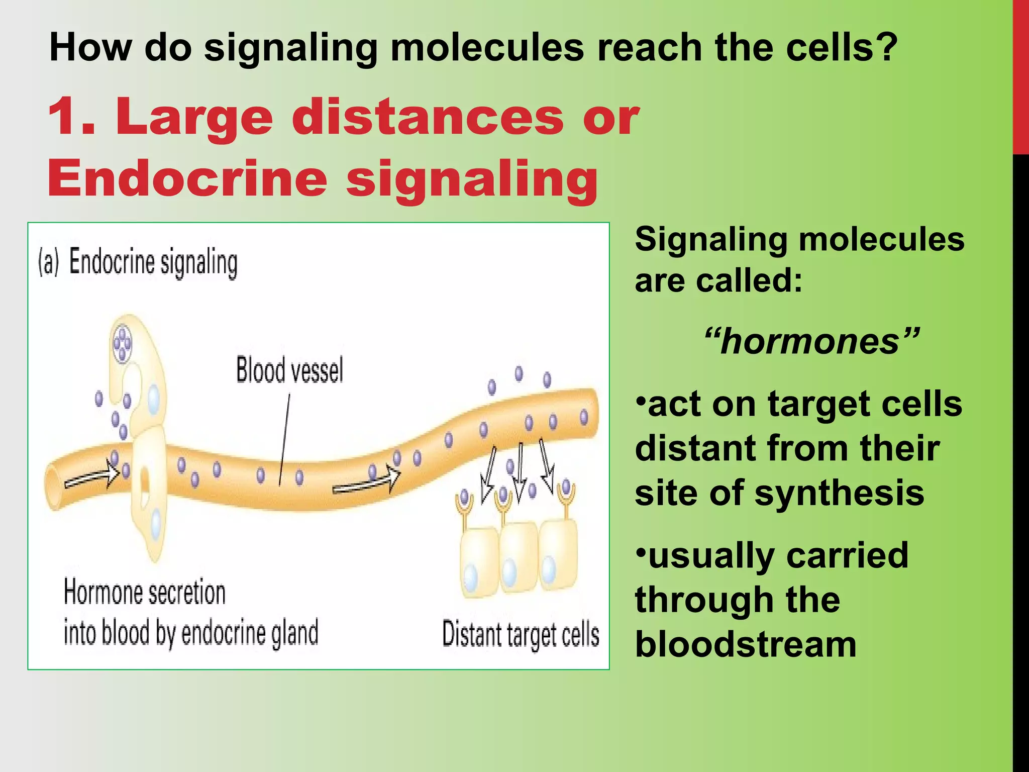 Cellular communication (signal transduction) | PPT