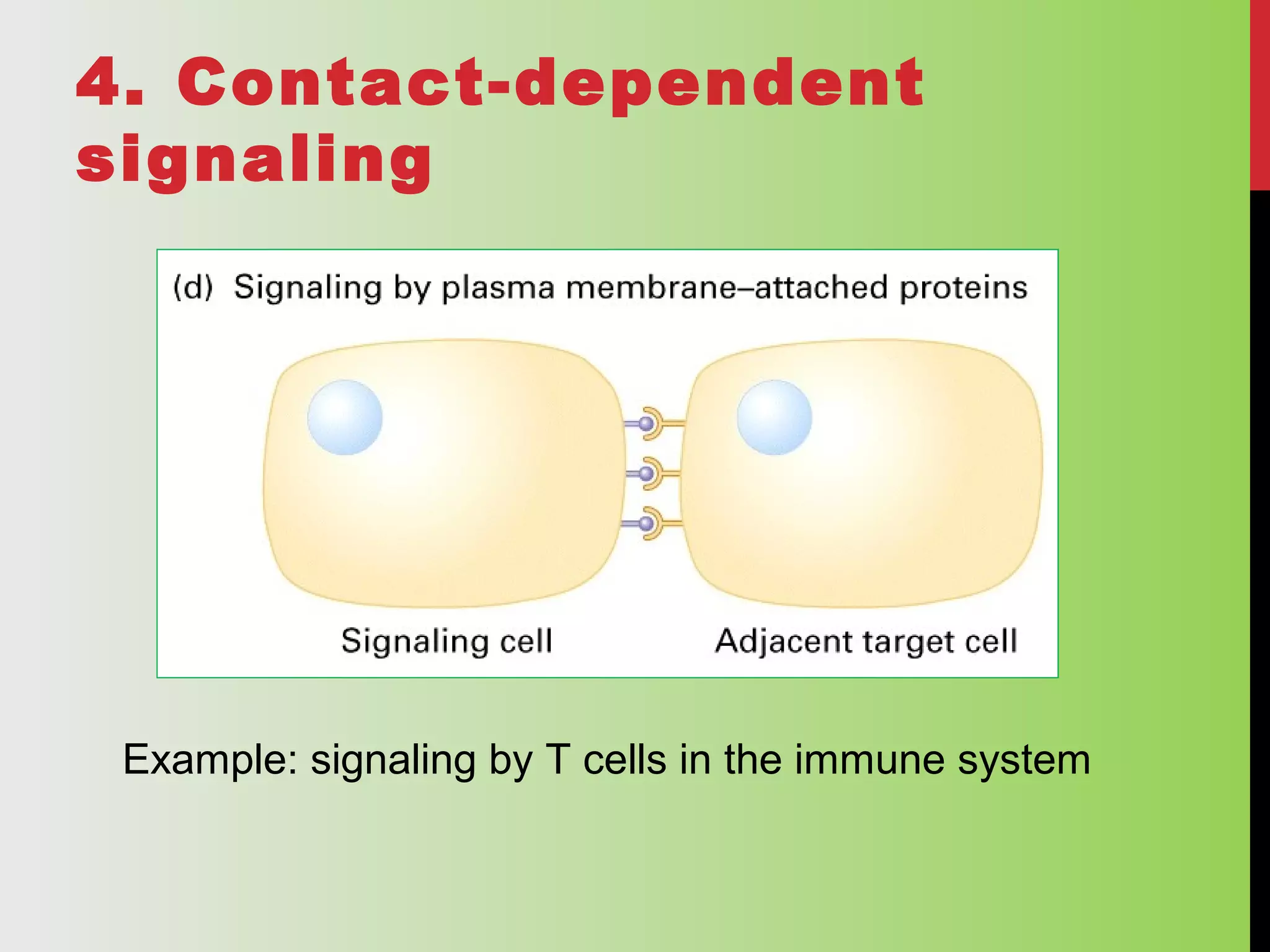 Cellular communication (signal transduction) | PPT