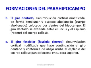 Cerebro: Anatomía | PPTX