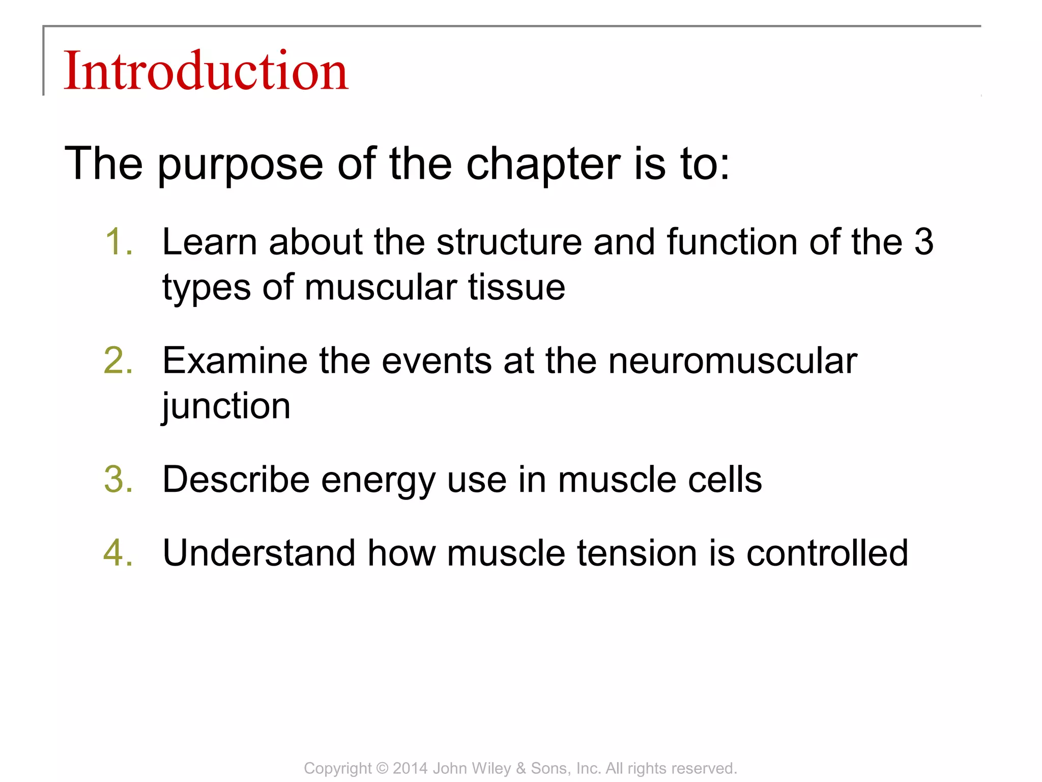 Chapter 10 anatomy and physologiy muscular tissues | PDF