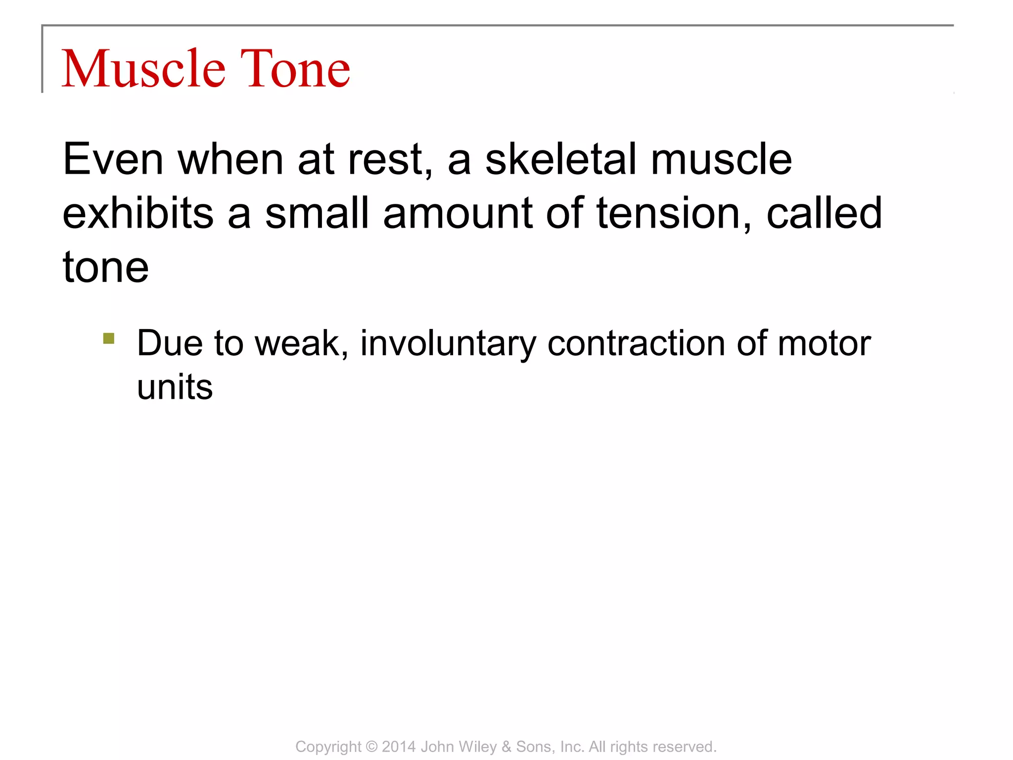Chapter 10 anatomy and physologiy muscular tissues | PDF
