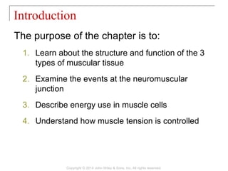 Chapter 10 anatomy and physologiy muscular tissues | PDF