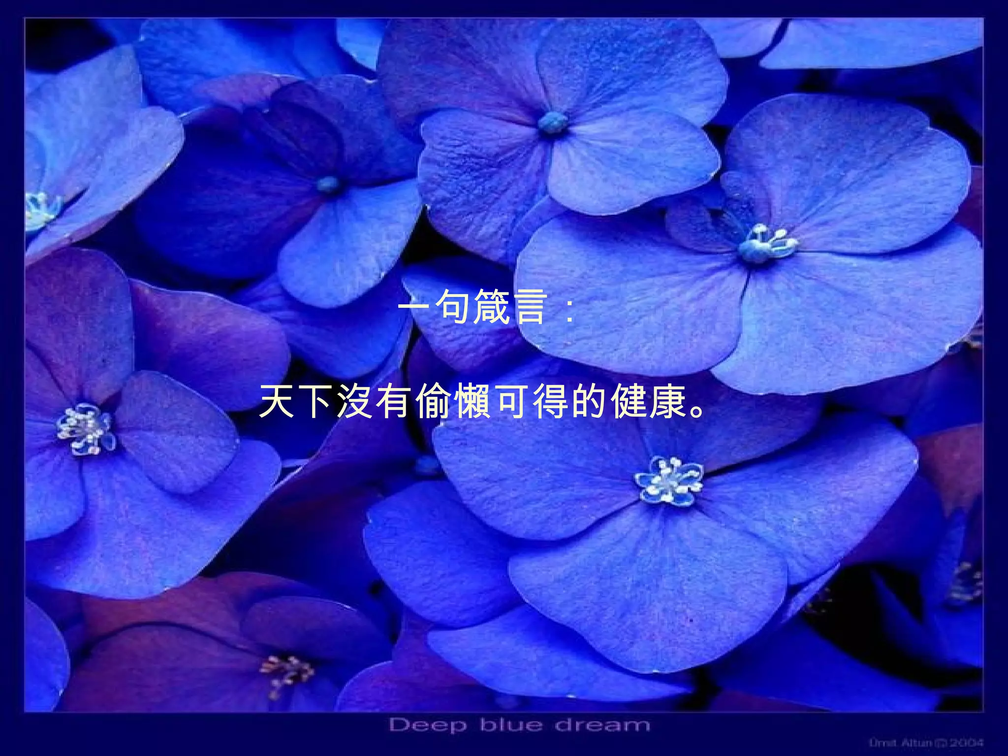 10 Chinese Commandments | PPT