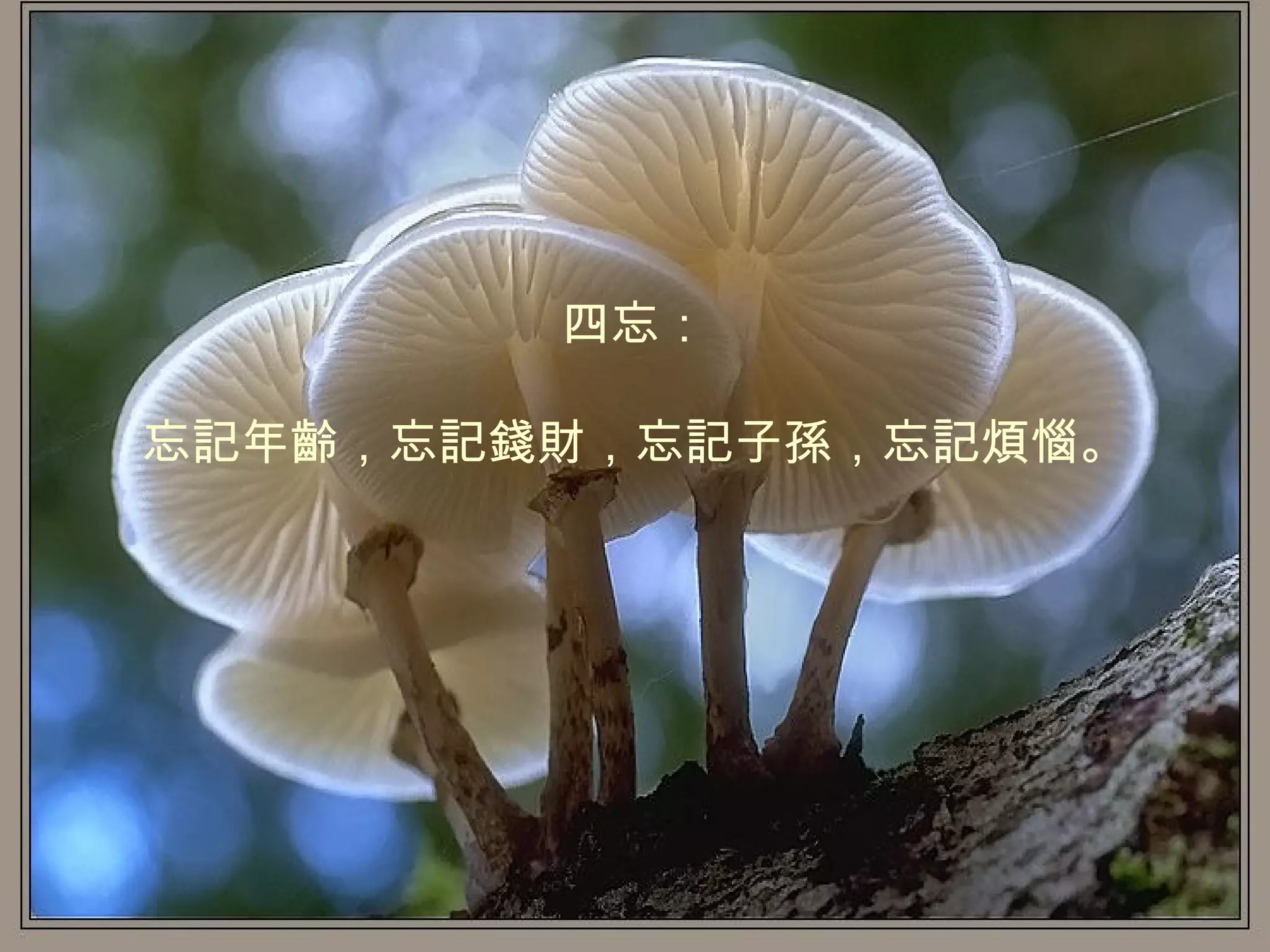 10 Chinese Commandments | PPT