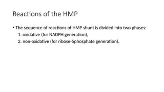 10 carbohydrate Metabolism for medical students | PPTX