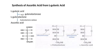 10 carbohydrate Metabolism for medical students | PPTX