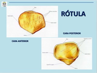 CLASE 10 CORTE 1 | PPTX