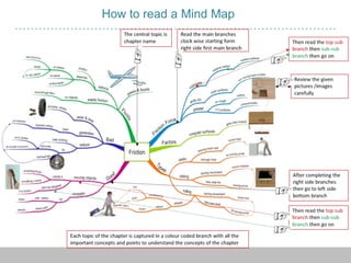 10 class science sample mindmaps | PPTX