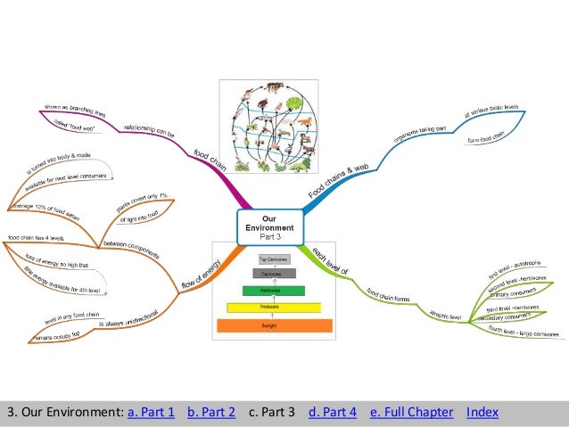 10 class science sample mindmaps