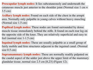 10 clinical examination lymph nodes | PDF